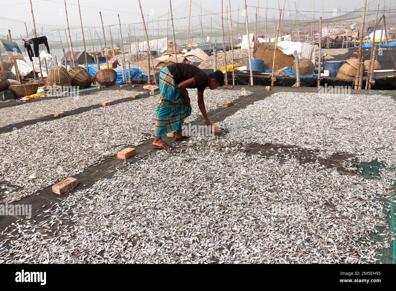 Fish labour hi-res stock photography and images - Alamy