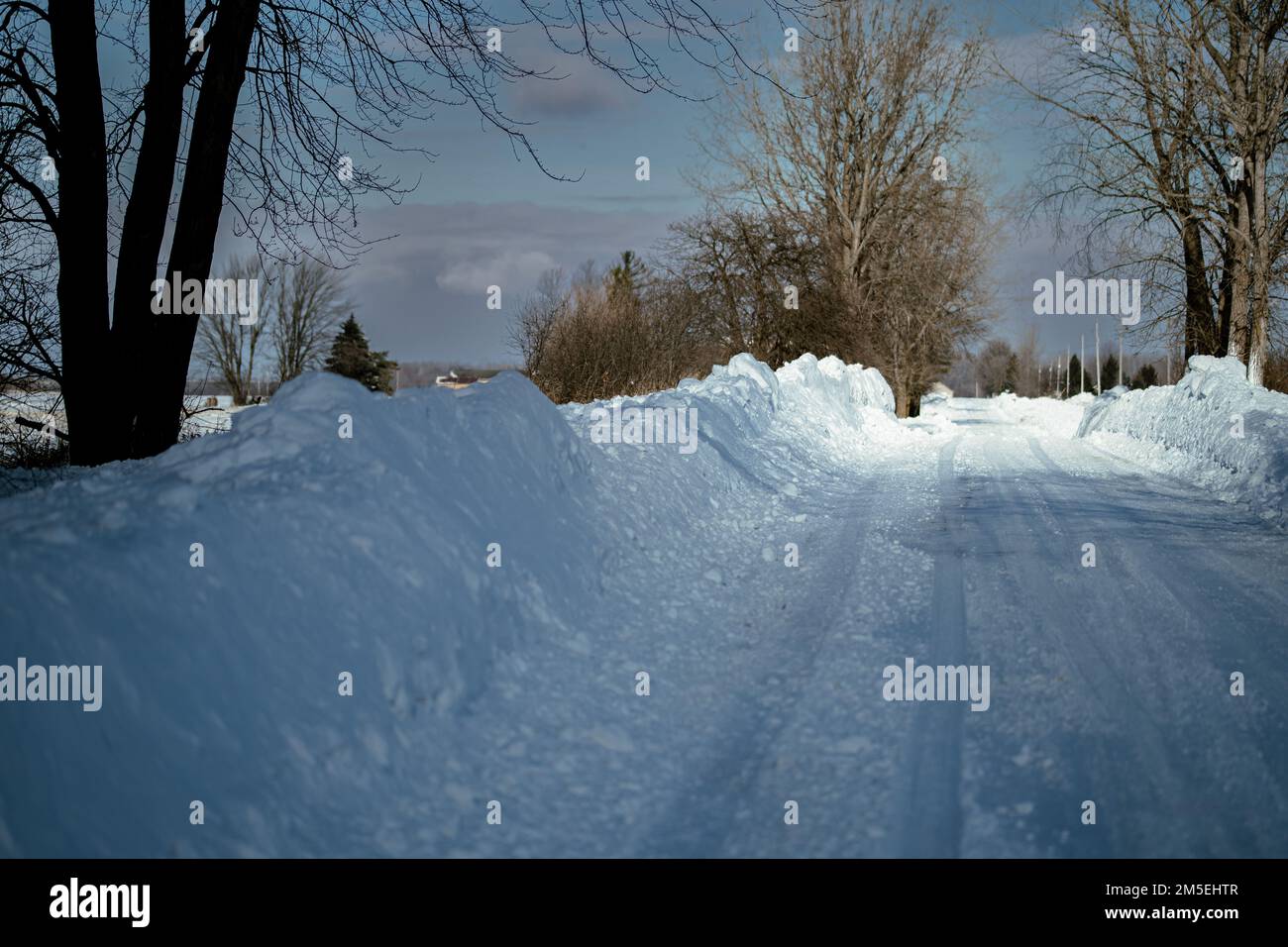 A rural road with plowed snow piles on the roadsides, and leafless ...