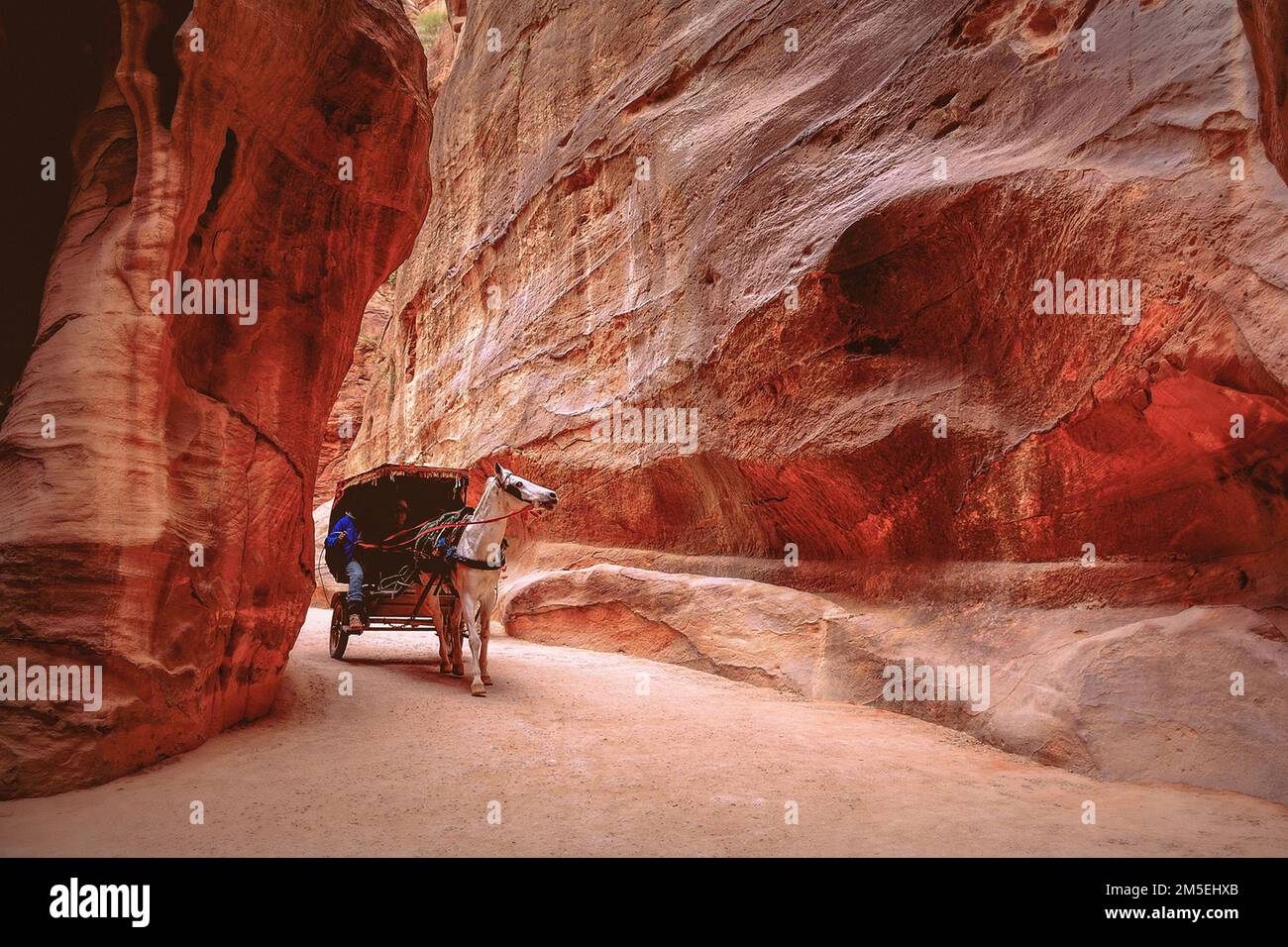 The Horse Cart Ride Stock Photo - Alamy