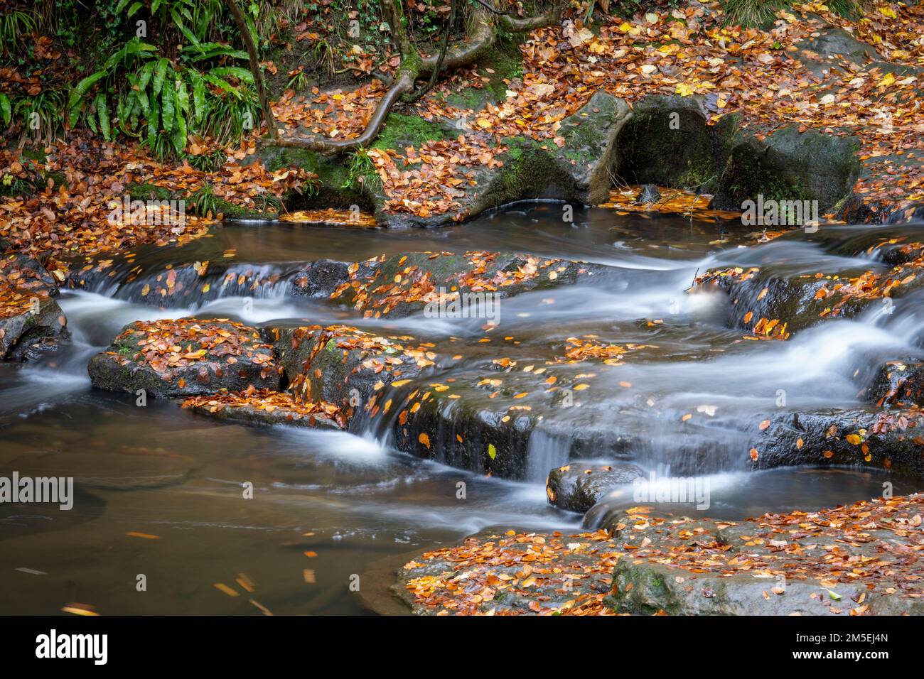 Falling fosse hi-res stock photography and images - Alamy