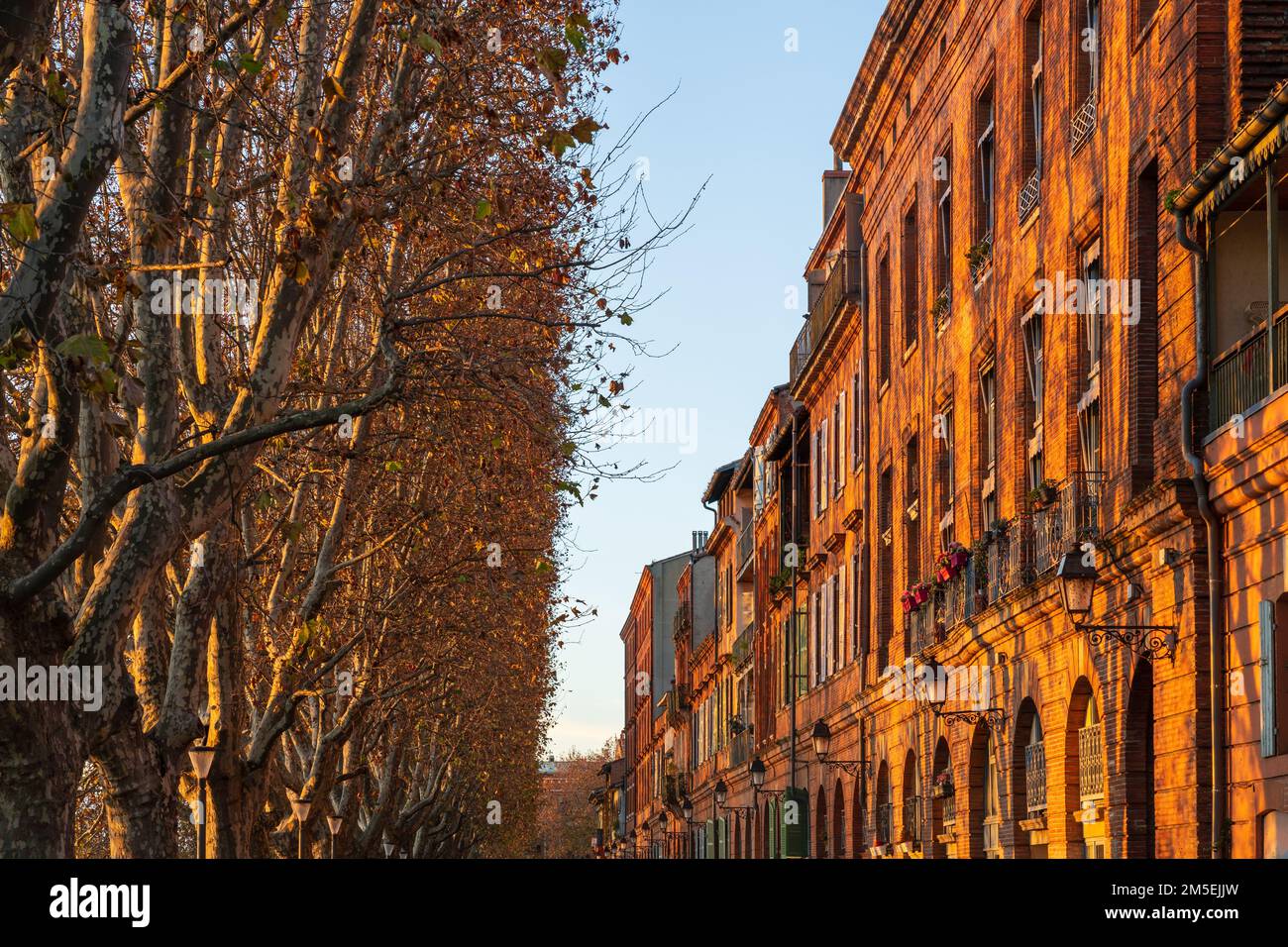 Colorful sunset view of ancient brick facades and plane trees on the ...