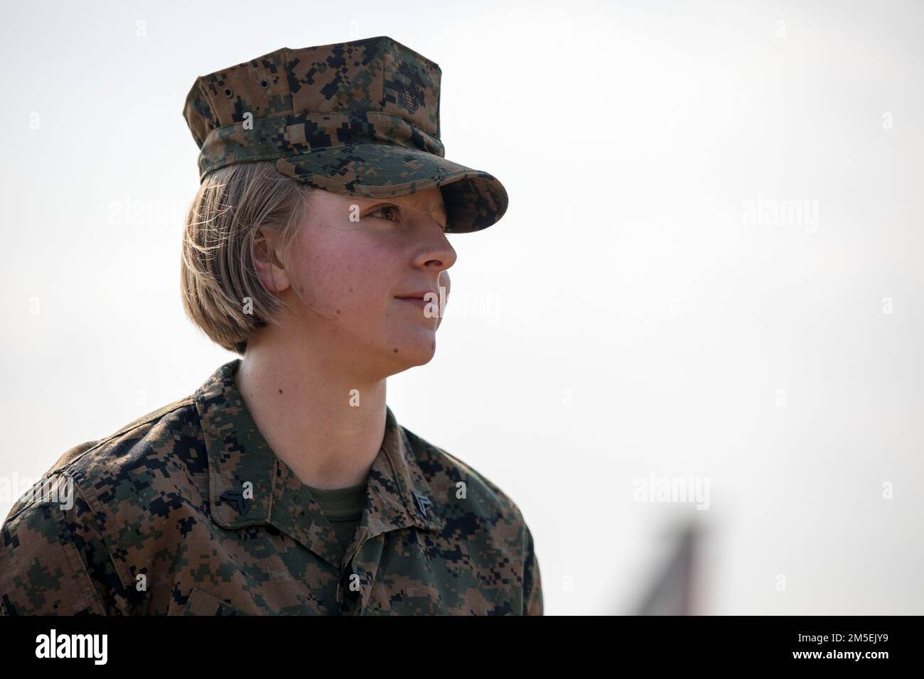 Marchek hi-res stock photography and images - Alamy