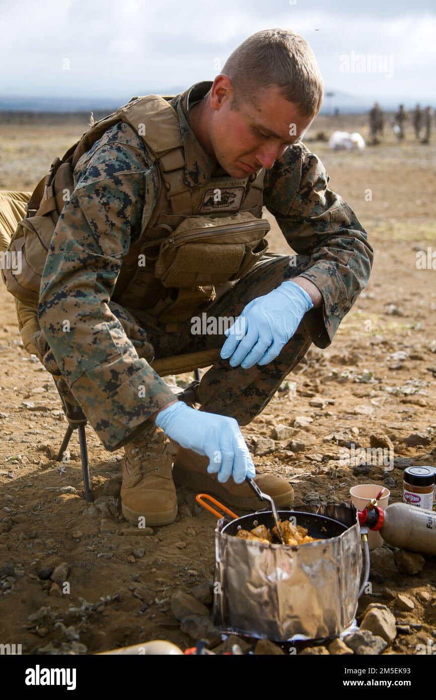 A U.S. Marine with 1st Battalion, 12th Marines, 3d Marine Division uses ...