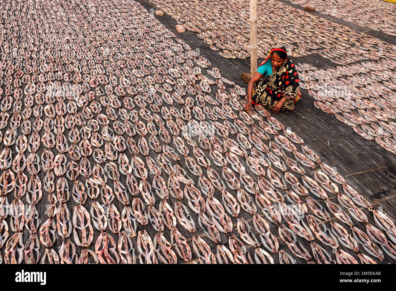 Indiasea hi-res stock photography and images - Alamy