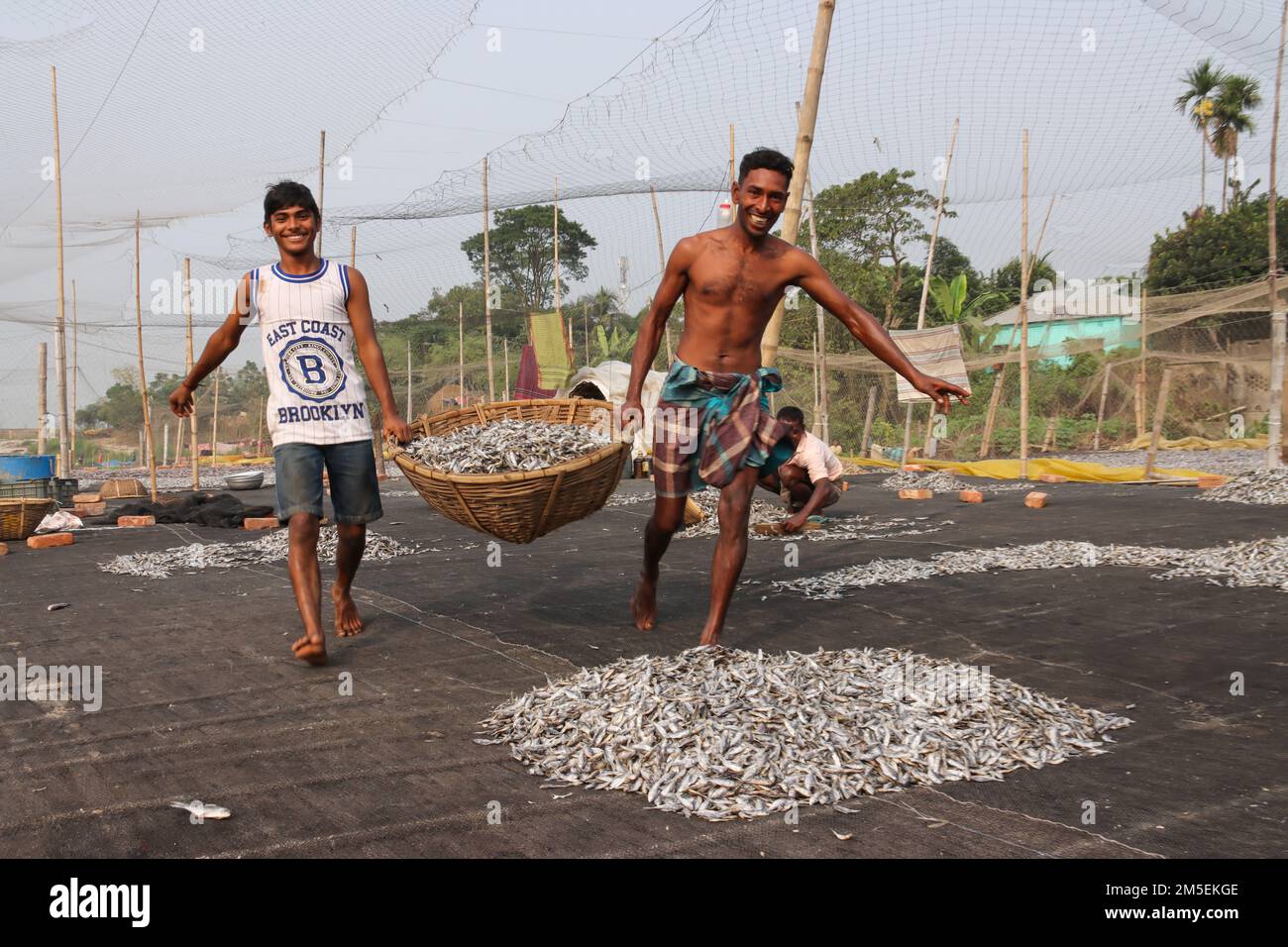 Bangladeshifish hi-res stock photography and images - Alamy