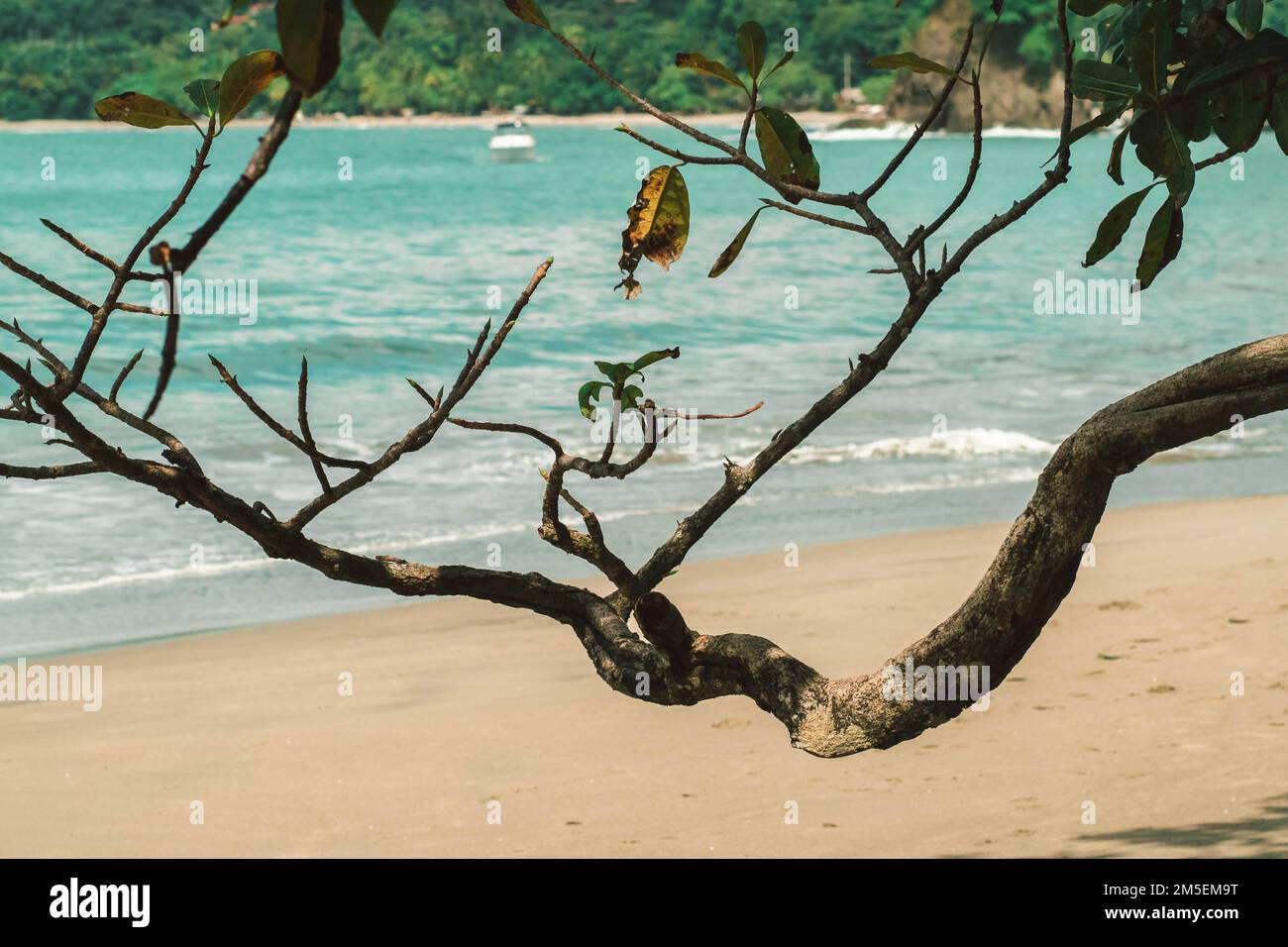 The Manuel Antonio Beach in Quepos, Costa Rica - paradise tropical ...