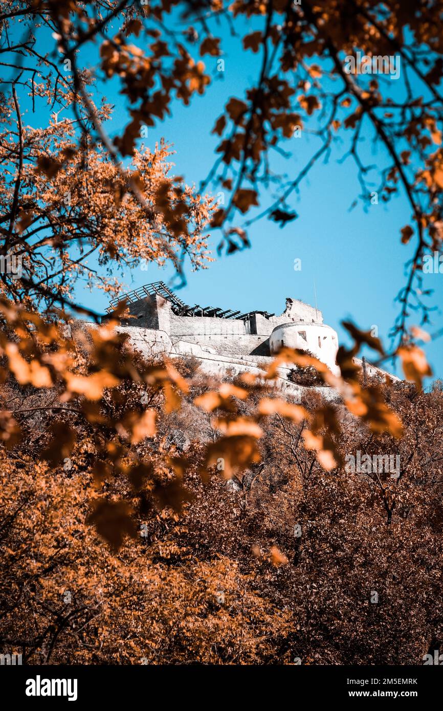 A vertical shot of a white castle on the hill seen through branches ...