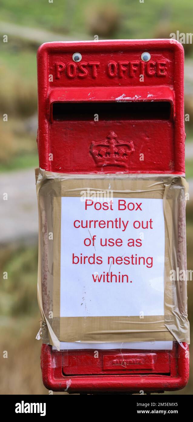 Post box,currently,out of use,because,of,nesting,birds,within,rural ...