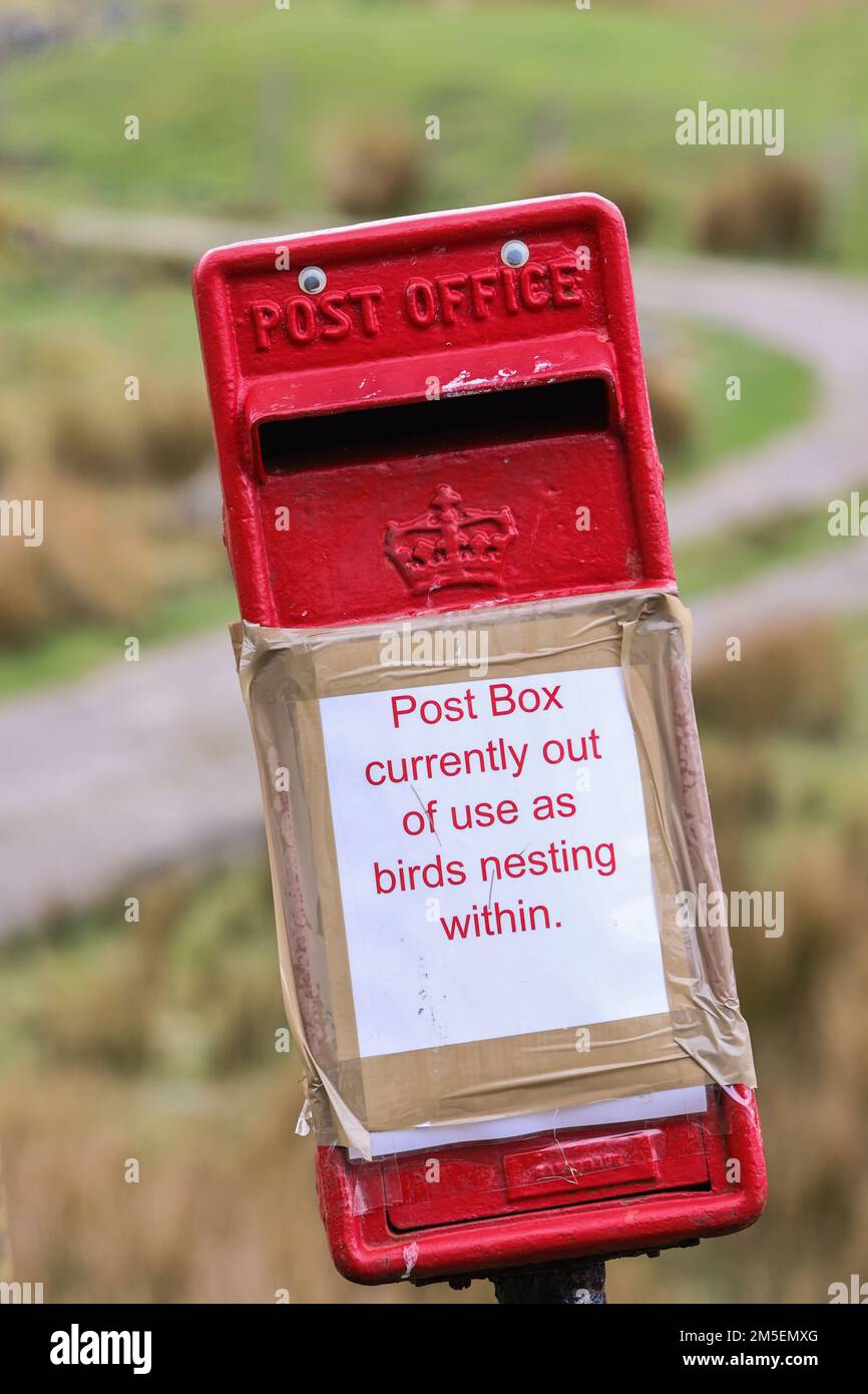 Post box,currently,out of use,because,of,nesting,birds,within,rural ...