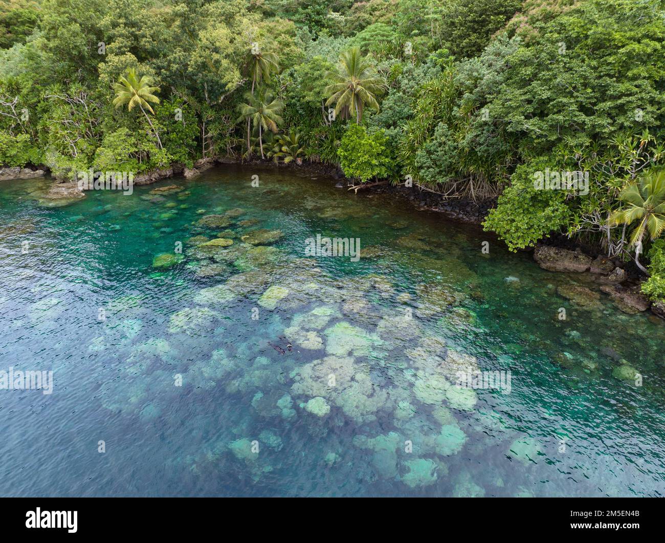 Lush jungle on a remote tropical island is fringed by a coral reef in ...