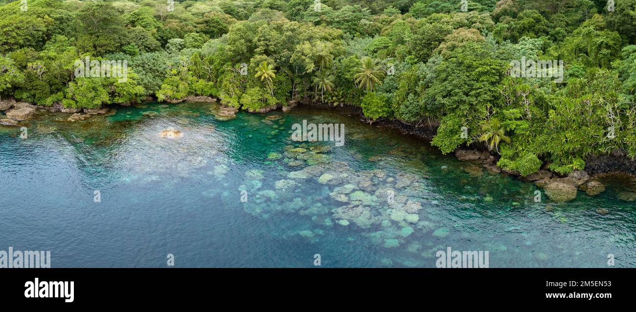 Melanesia rainforest ecosystem hi-res stock photography and images - Alamy
