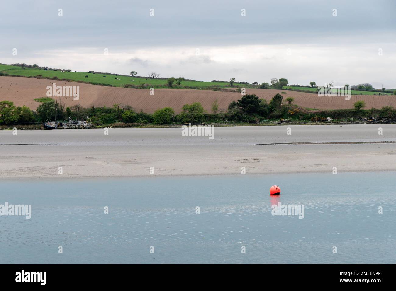 View of Clonakilty Bay at low tide. A small orange buoy is kept on a ...