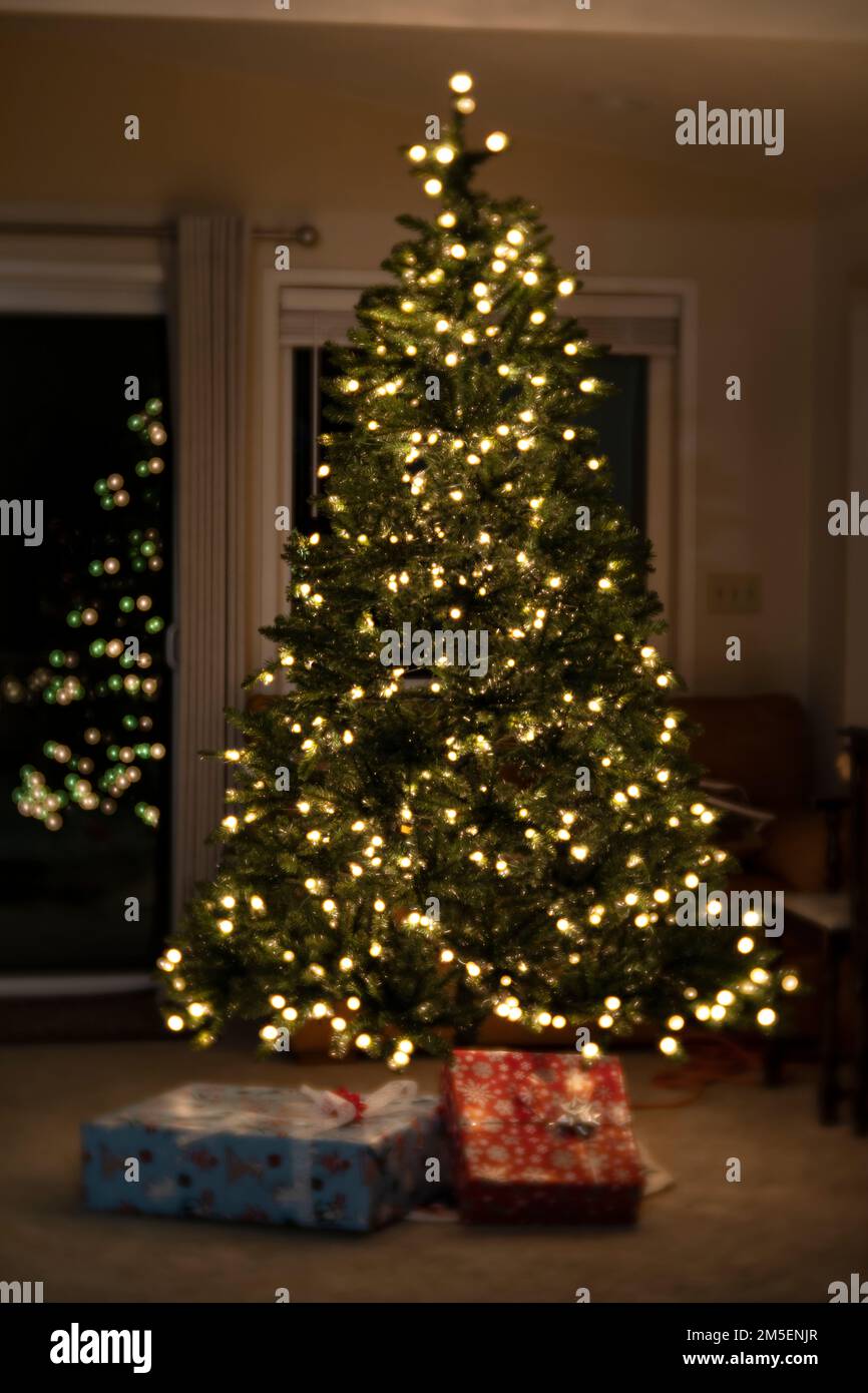 WA22843-00...WASHINGTON - Christmas tree and reflection photographed ...