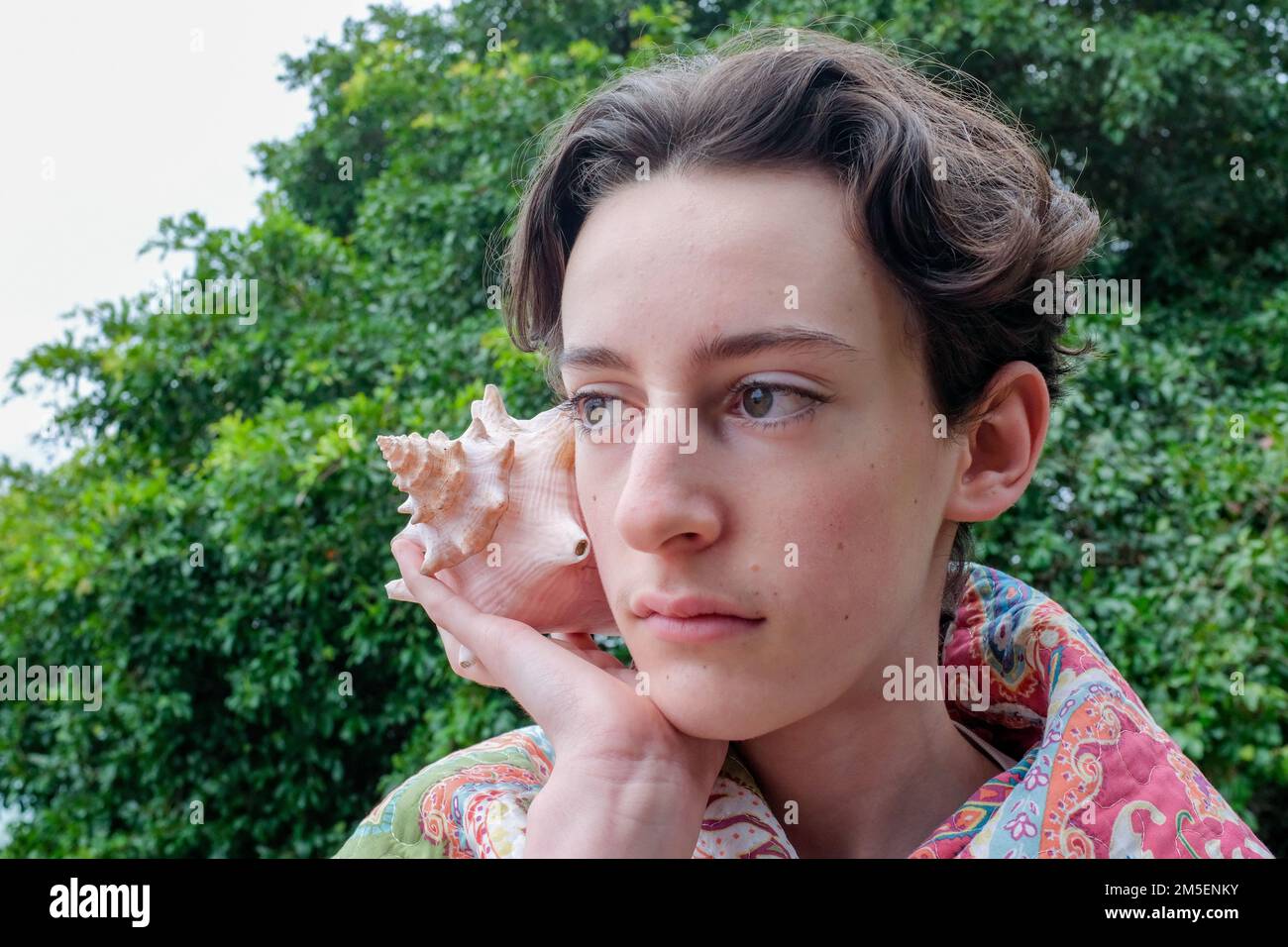 Shell photography hi-res stock photography and images - Alamy