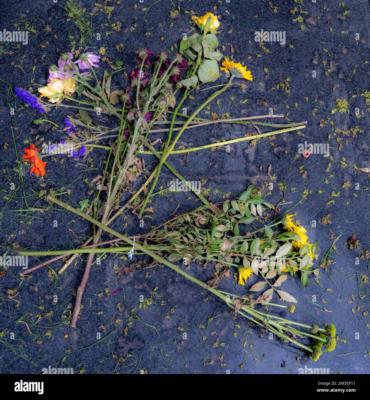 Dead flowers scattered on a gravestone Stock Photo - Alamy