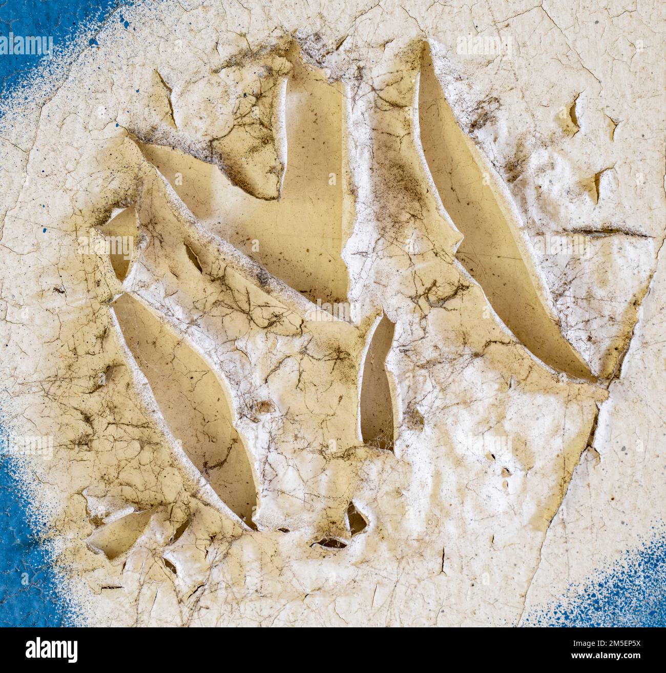 Cream paint hi-res stock photography and images - Alamy