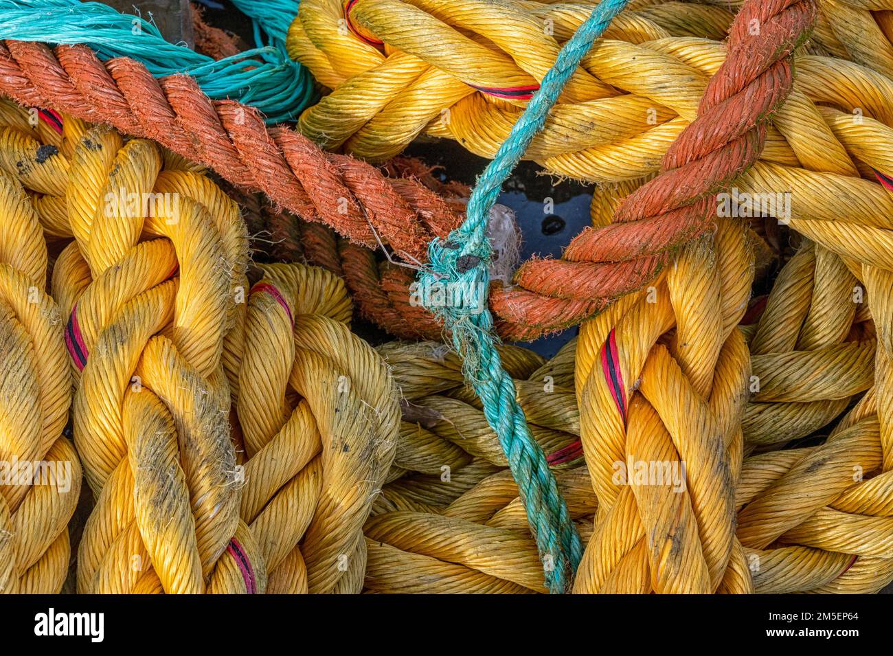 Red and yellow marine rope at a fishing port Stock Photo - Alamy