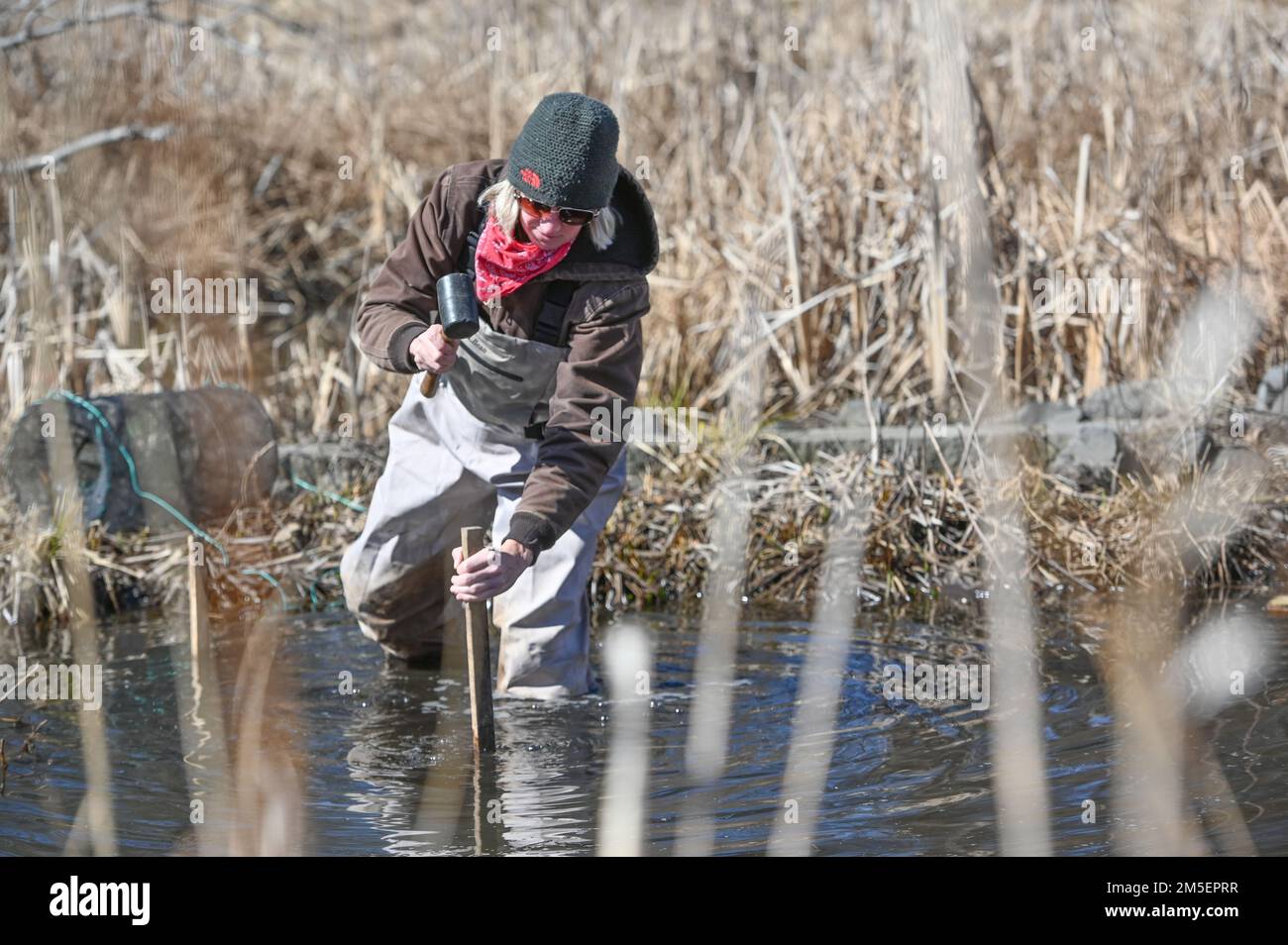 Christin McDonough, Steven W. Carothers & Associates non-game wildlife ...
