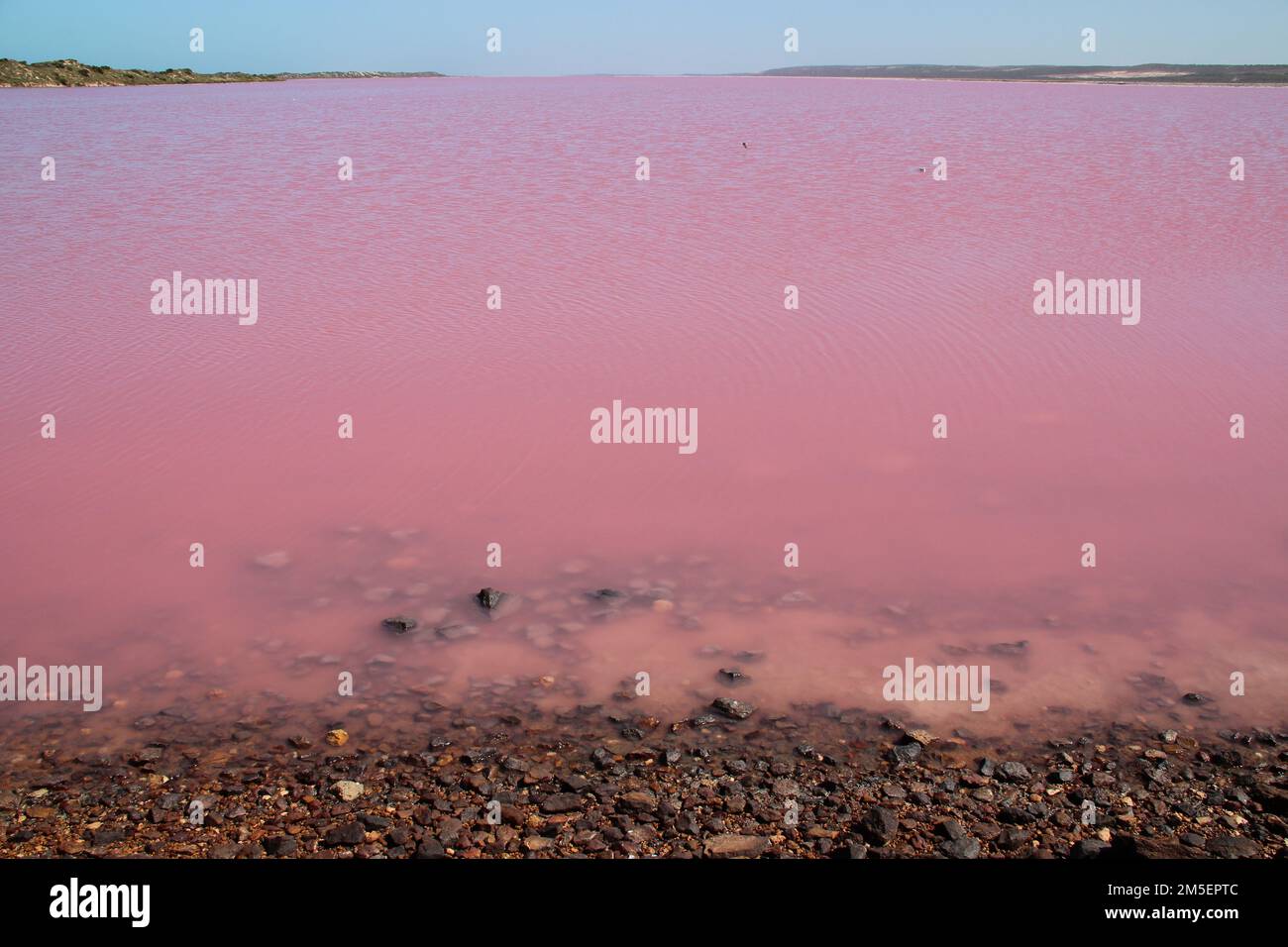 hutt lagoon pink lake at port gregory (australia Stock Photo - Alamy