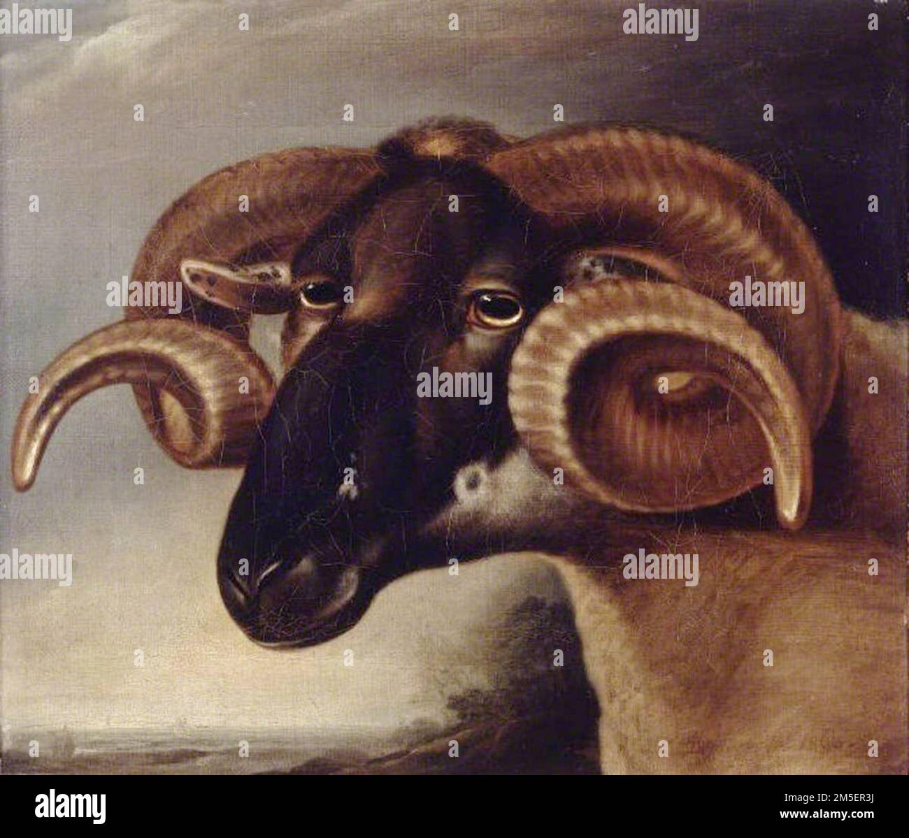 Thomas Weaver - A Corsican Goats Head Head Facing Left - 1808 Stock ...