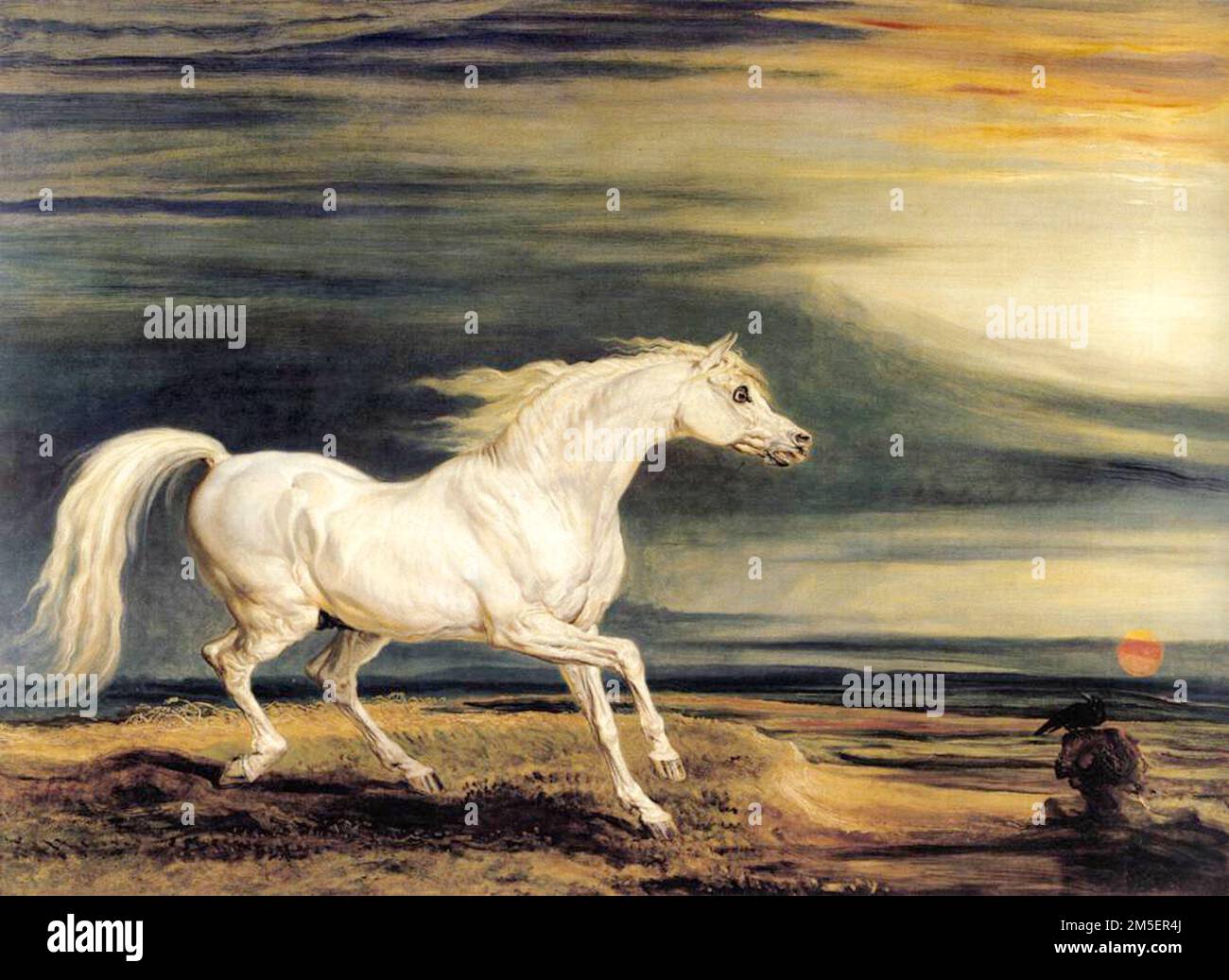 James Ward- Marengo - 1824 - Napoleon's horse Marengo in a setting sun ...