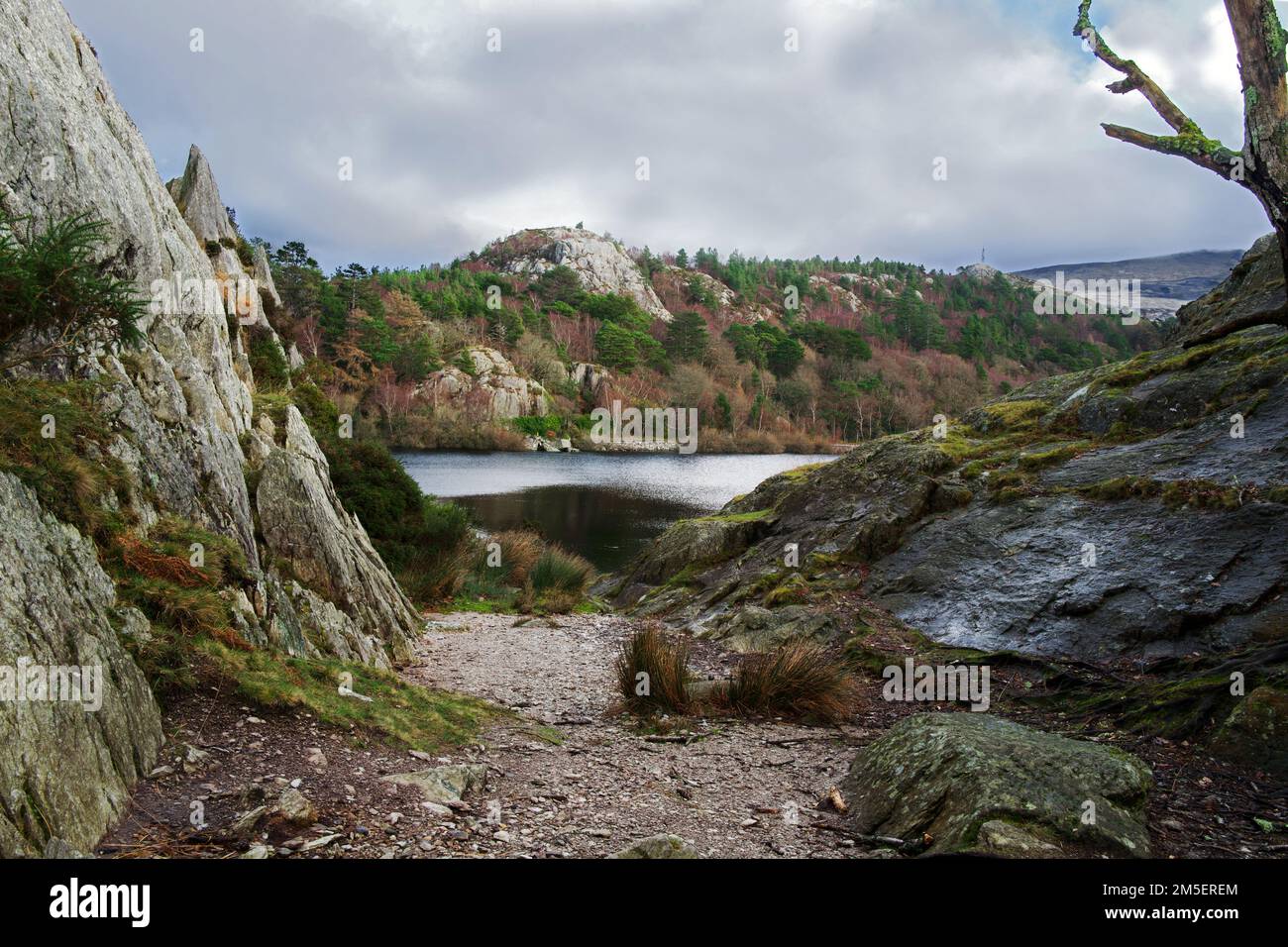 Padarn country park hi-res stock photography and images - Alamy