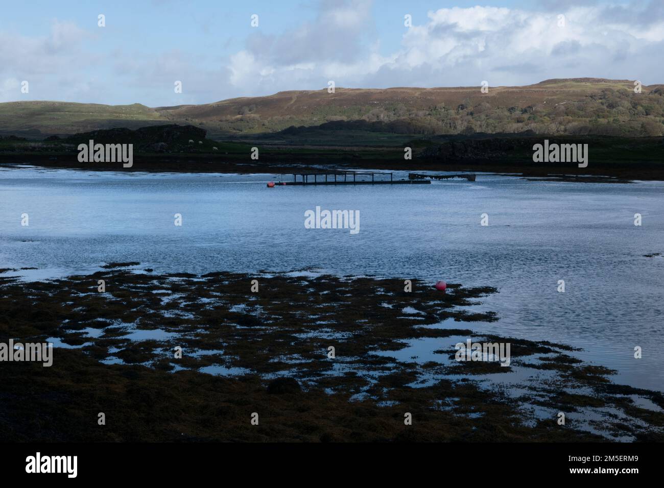 Inner fishery hi-res stock photography and images - Alamy