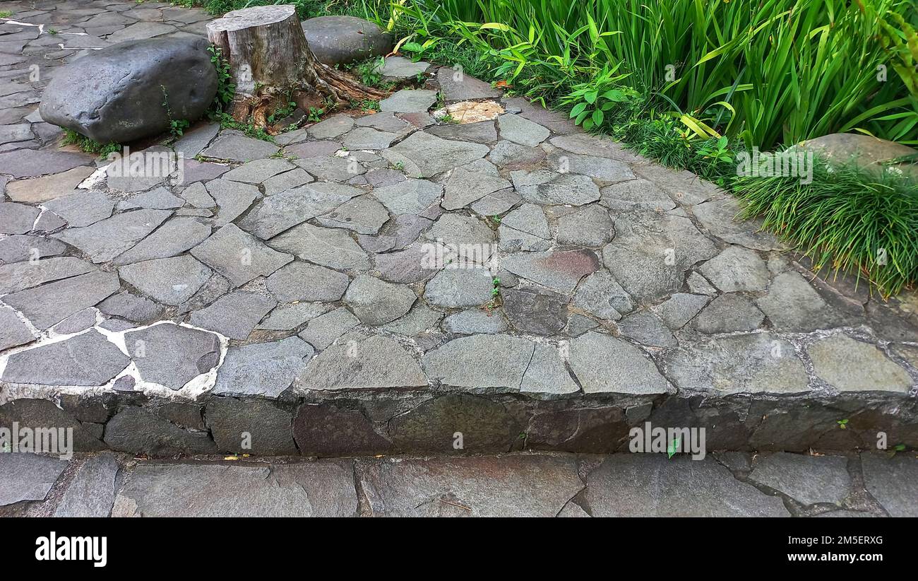 Beauty red pink plant tree flower in the public park with neatly ...