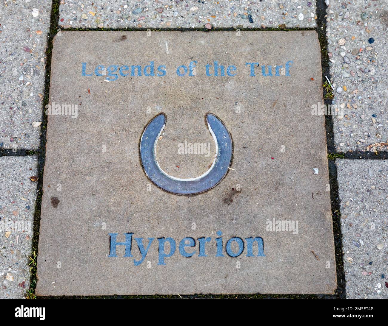 Hyperion on a Legends of the turf paving slabs in Newmarket, Suffolk ...