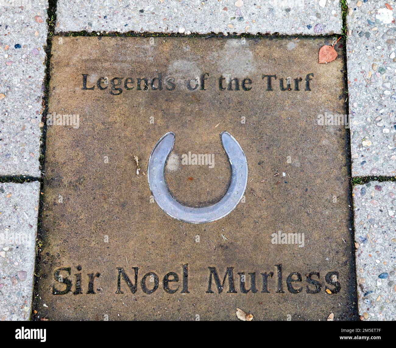 Sir Noel Murless on a Legends of the turf paving slab in Newmarket ...