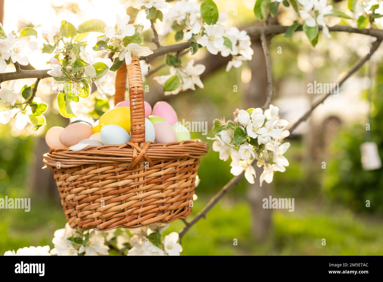 Happy Easter. Basket with Easter eggs in grass on a sunny spring day ...