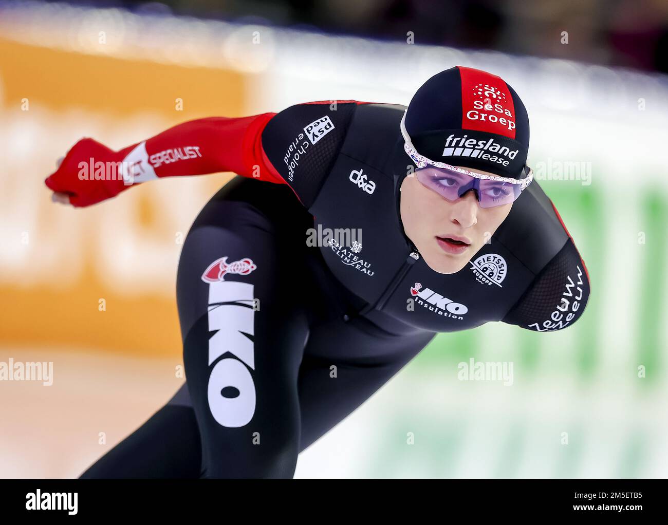 Robin groot hi-res stock photography and images - Alamy