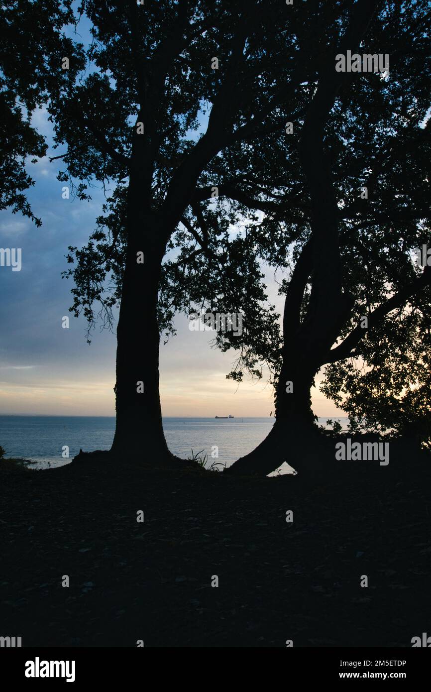 A vertical shot of the beach at sunrise. Isle of Wight Stock Photo - Alamy