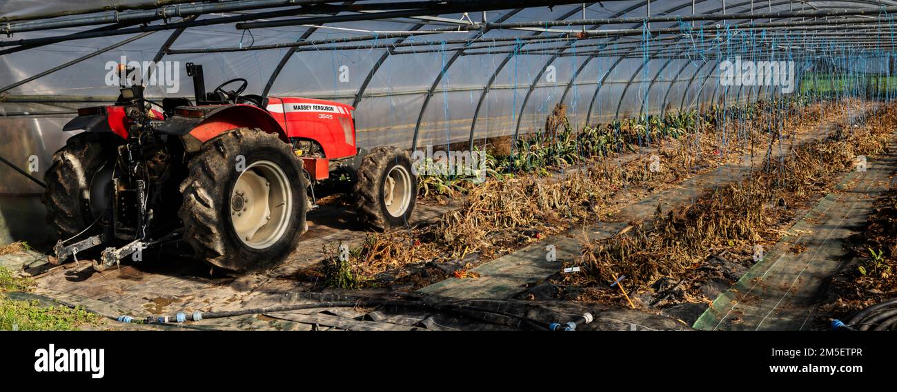 Tractor in greenhouse Stock Photo - Alamy