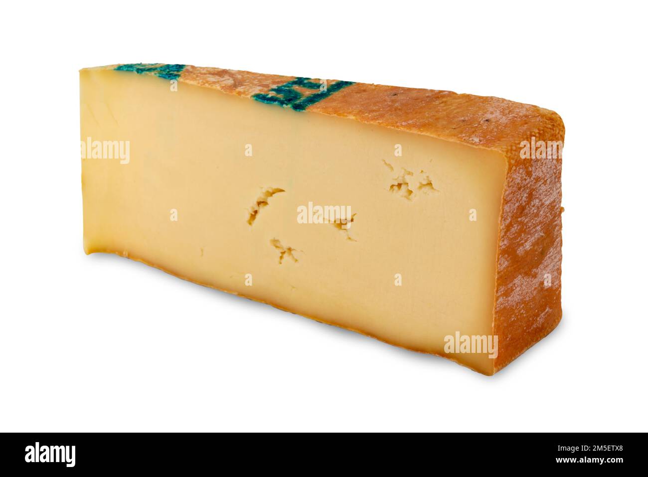 Fontina cheese from Aosta Valle, Italy, made with milk from cows ...