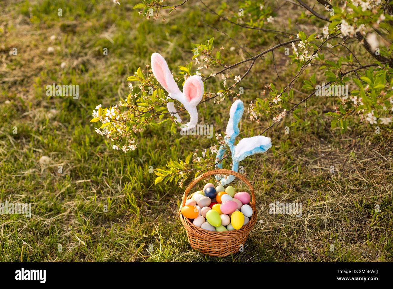 painted Easter eggs in basket on grass. Traditional decoration in sun ...