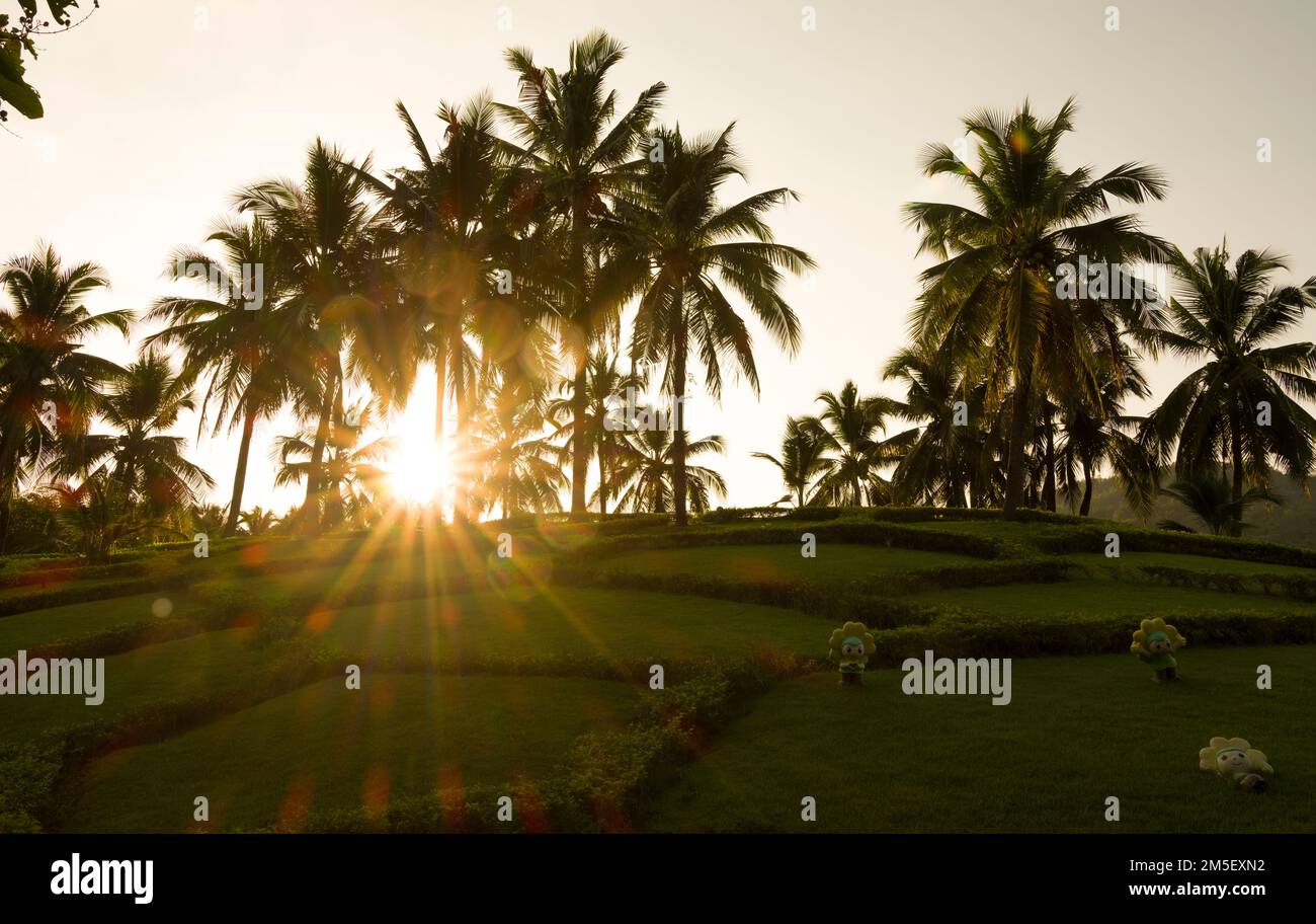 Sunset view in Royal Flora Ratchaphruek Park. Chiang Mai, Thailand ...