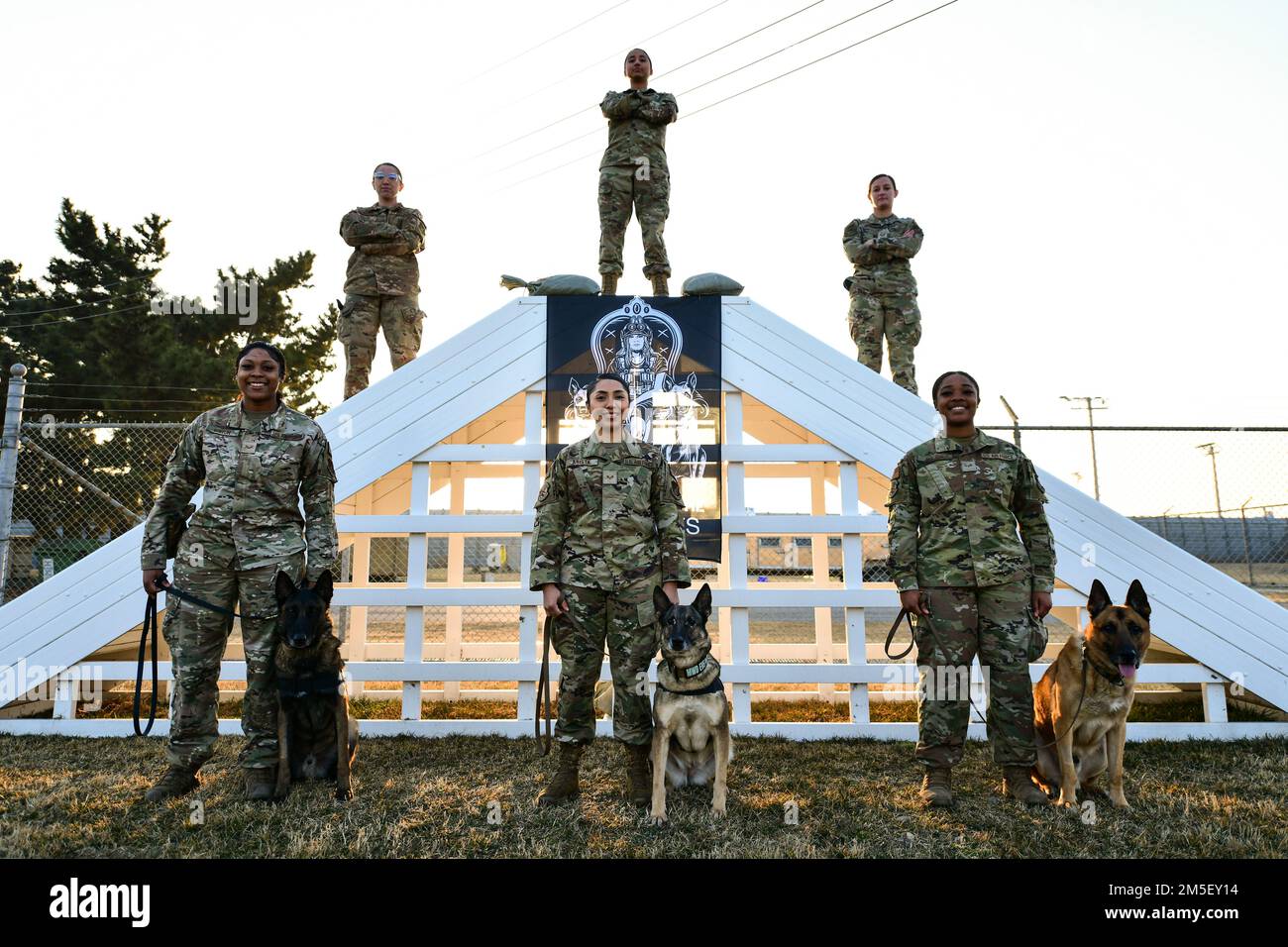 Airmen from the 8th Security Forces Squadron Military Working Dogs ...