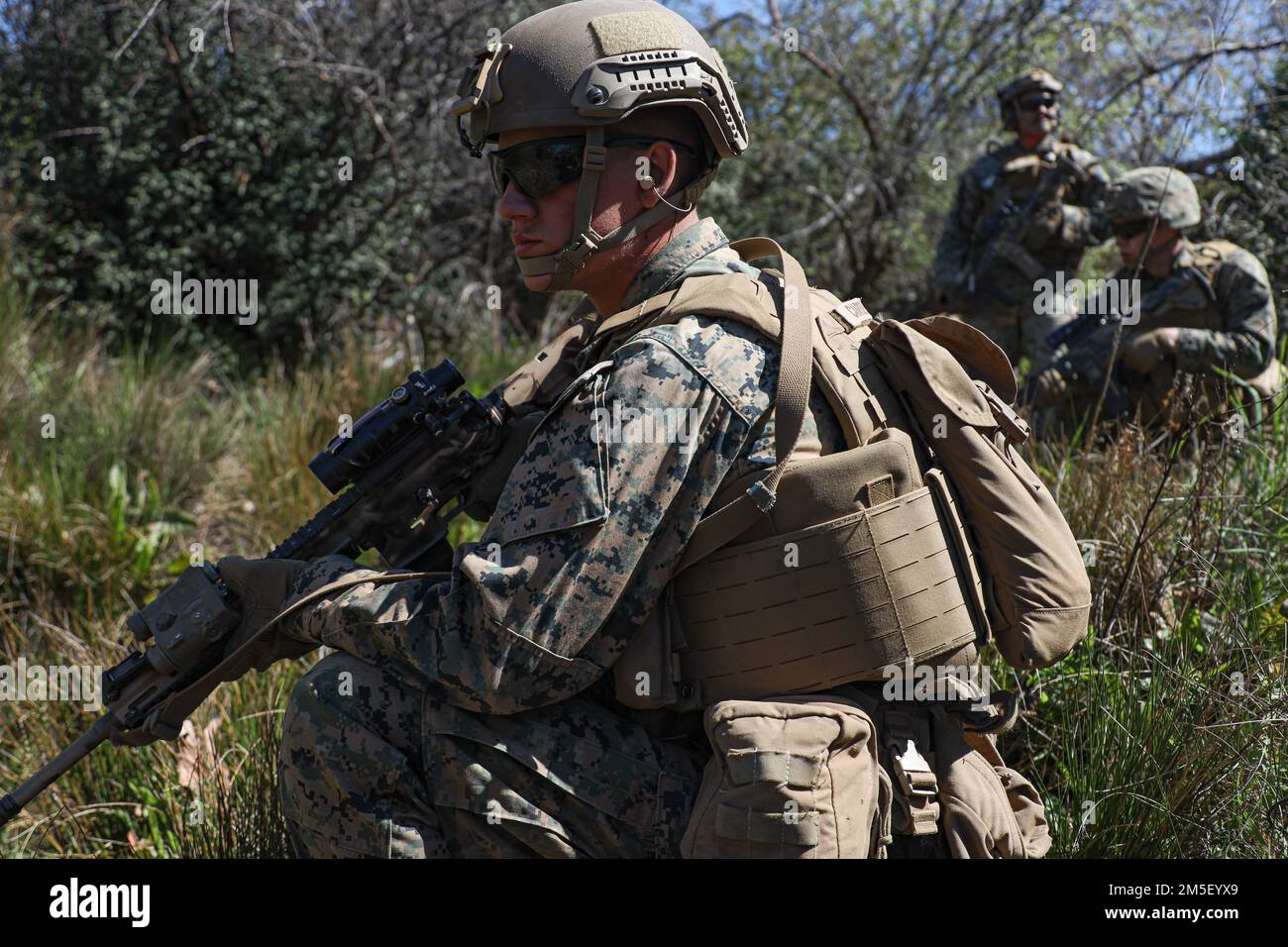 U.S. Marine Corps Lance Cpl. Wayne M. Campbell, a rifleman with 3d ...
