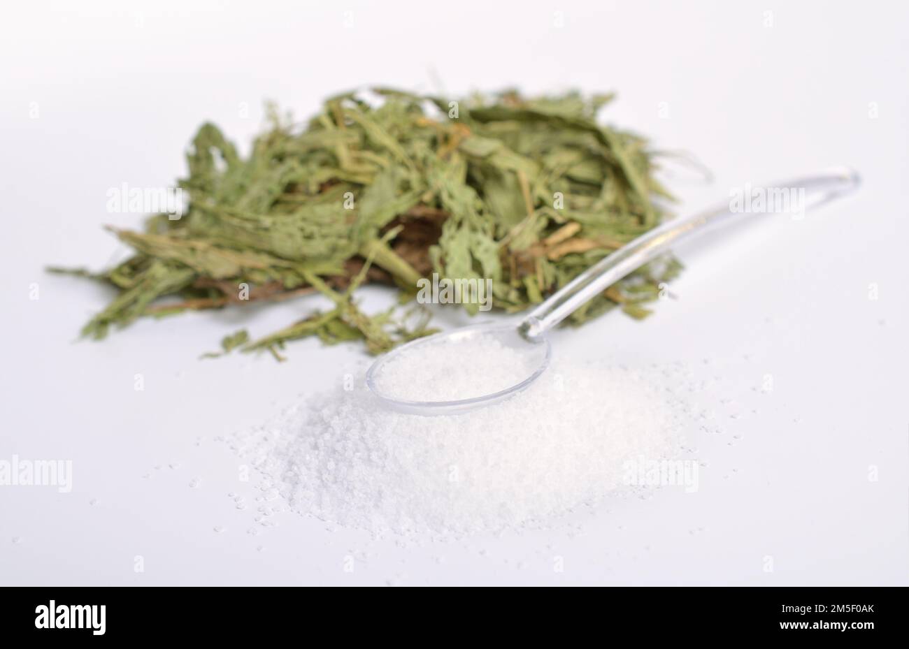 Dried stevia plant with Stevioside. Natural sweetener Isolated on white ...