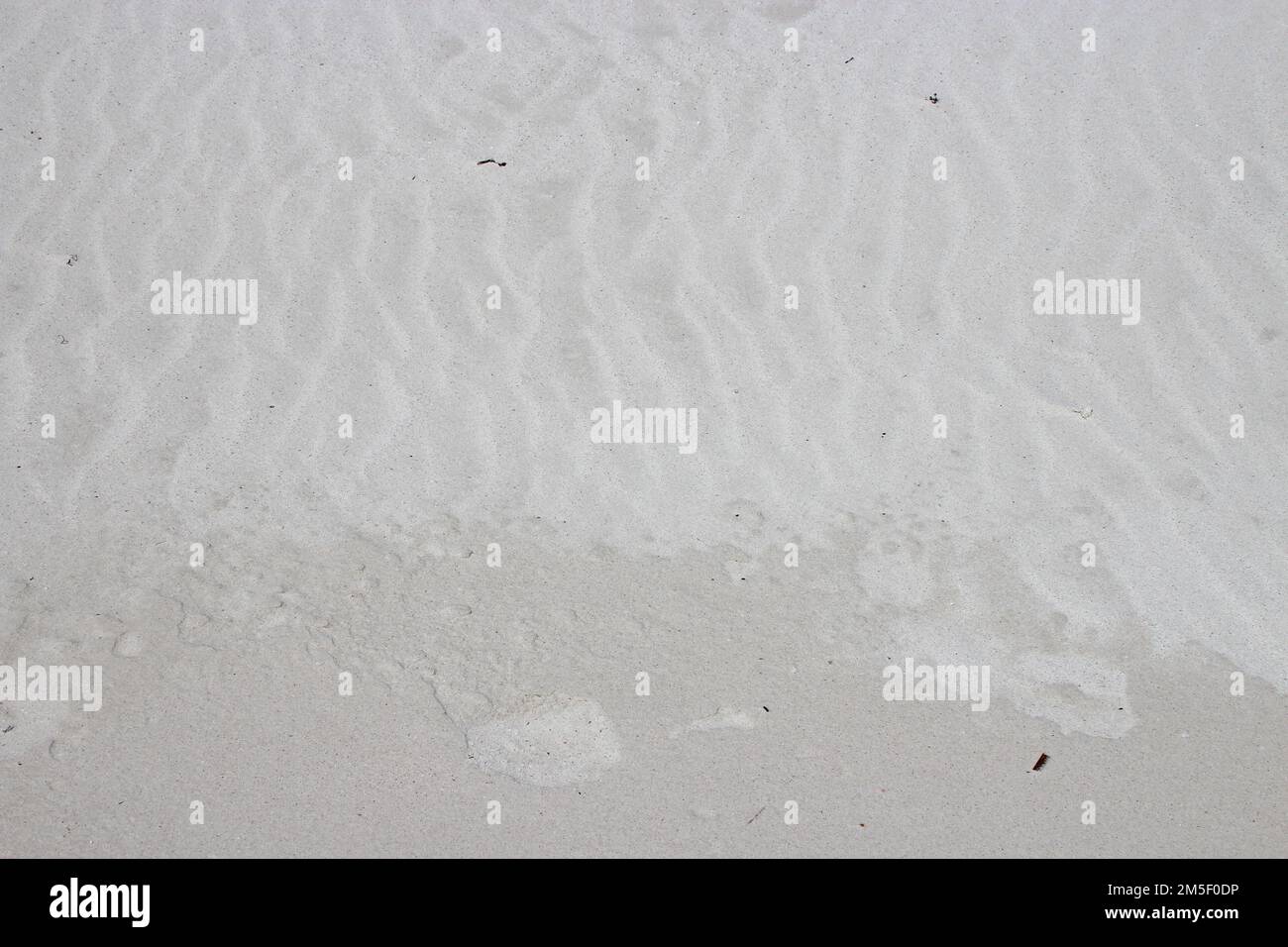beach (stark bay beach) at rottnest island (australia Stock Photo - Alamy