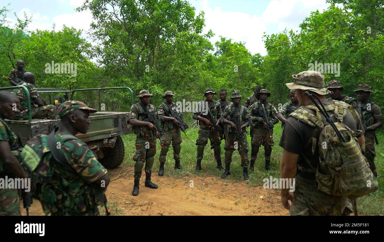 Tpdf hi-res stock photography and images - Alamy