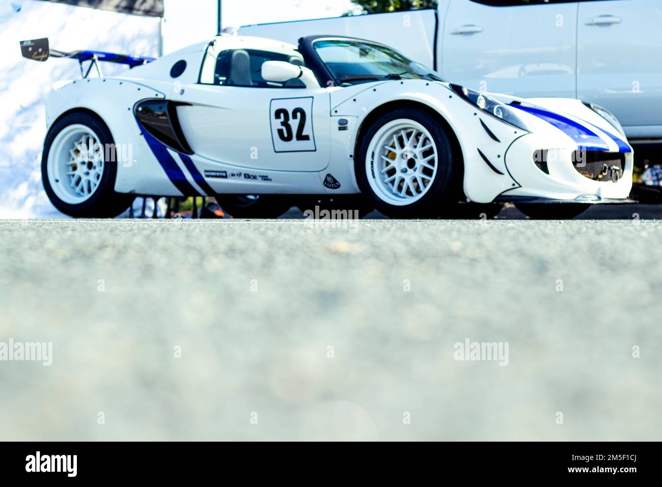 Lotus Full Body Stock Photo - Alamy