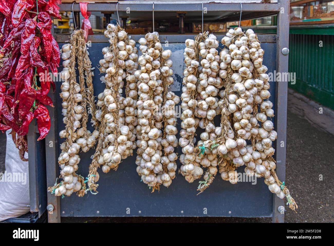 Strings of Garlic Dry Hanging at Farmers Market Stock Photo - Alamy