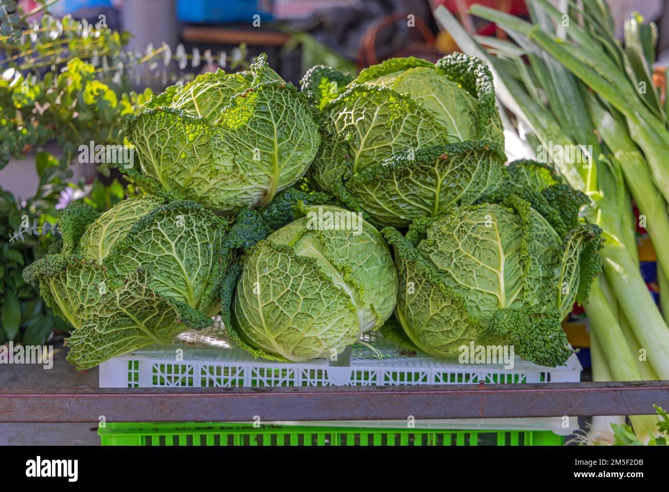 Heads of Kale at Farmers Market Healthy Food Vegetables Stock Photo - Alamy
