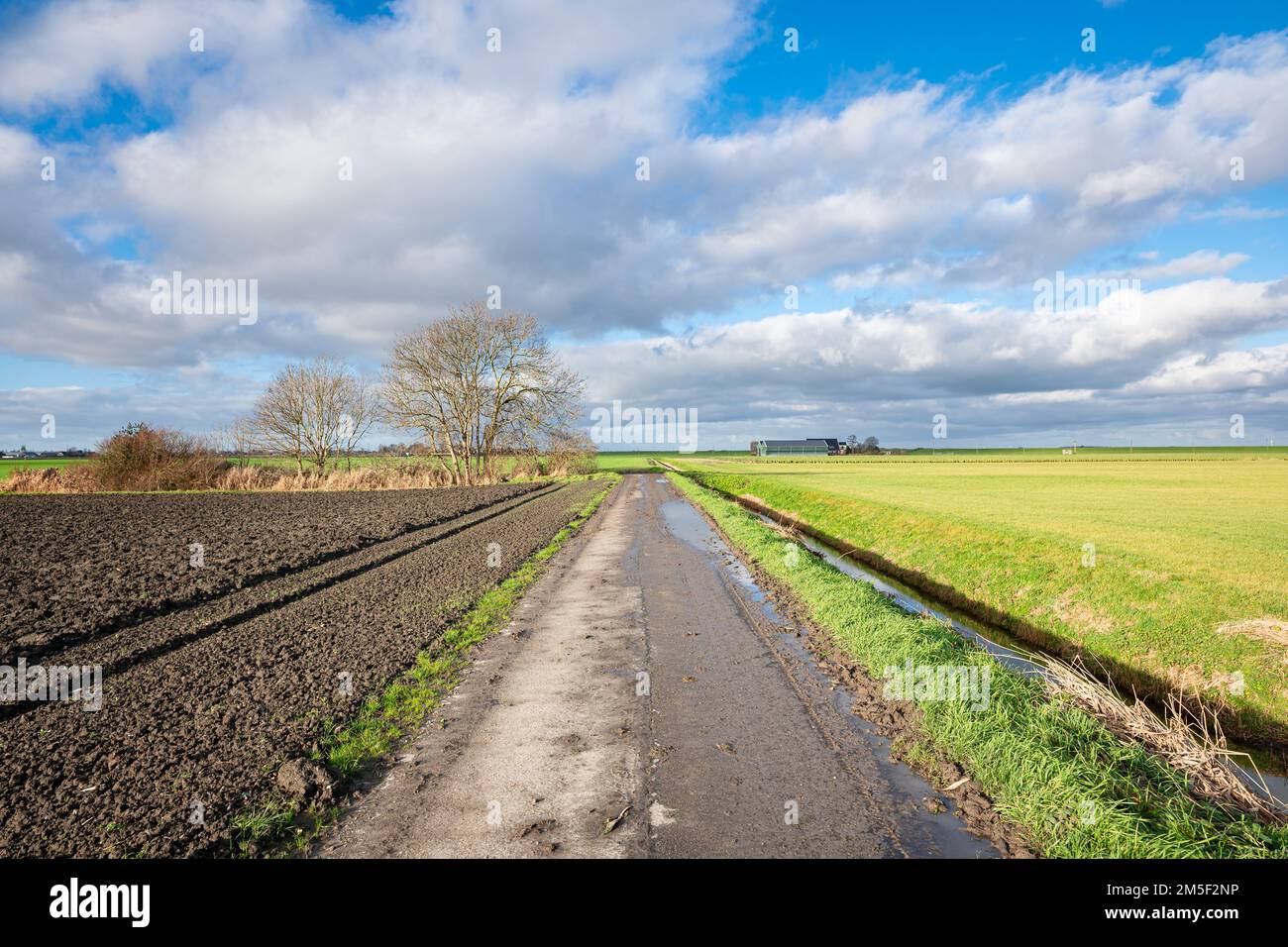 Country road in wide open Dutch landscape Stock Photo - Alamy
