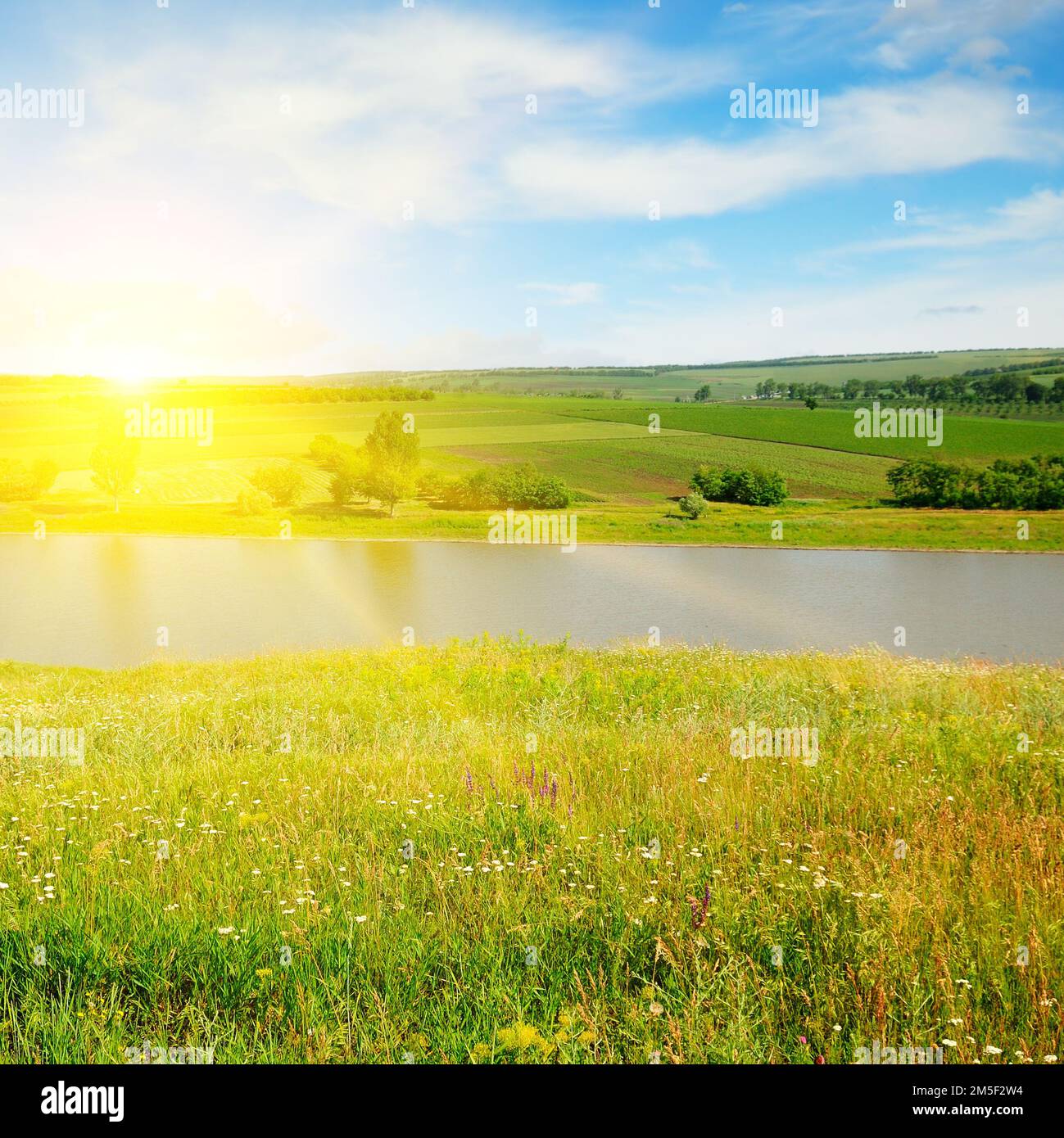 A lake with picturesque shores, meadows and agro fields Stock Photo - Alamy
