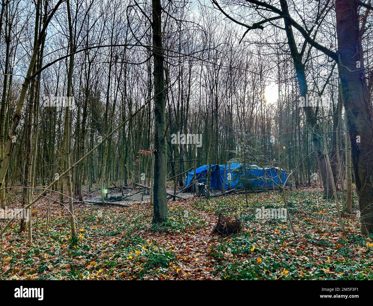 Paris, France, Homeless Tents in City Park, Bois de VIncennes, Winter ...