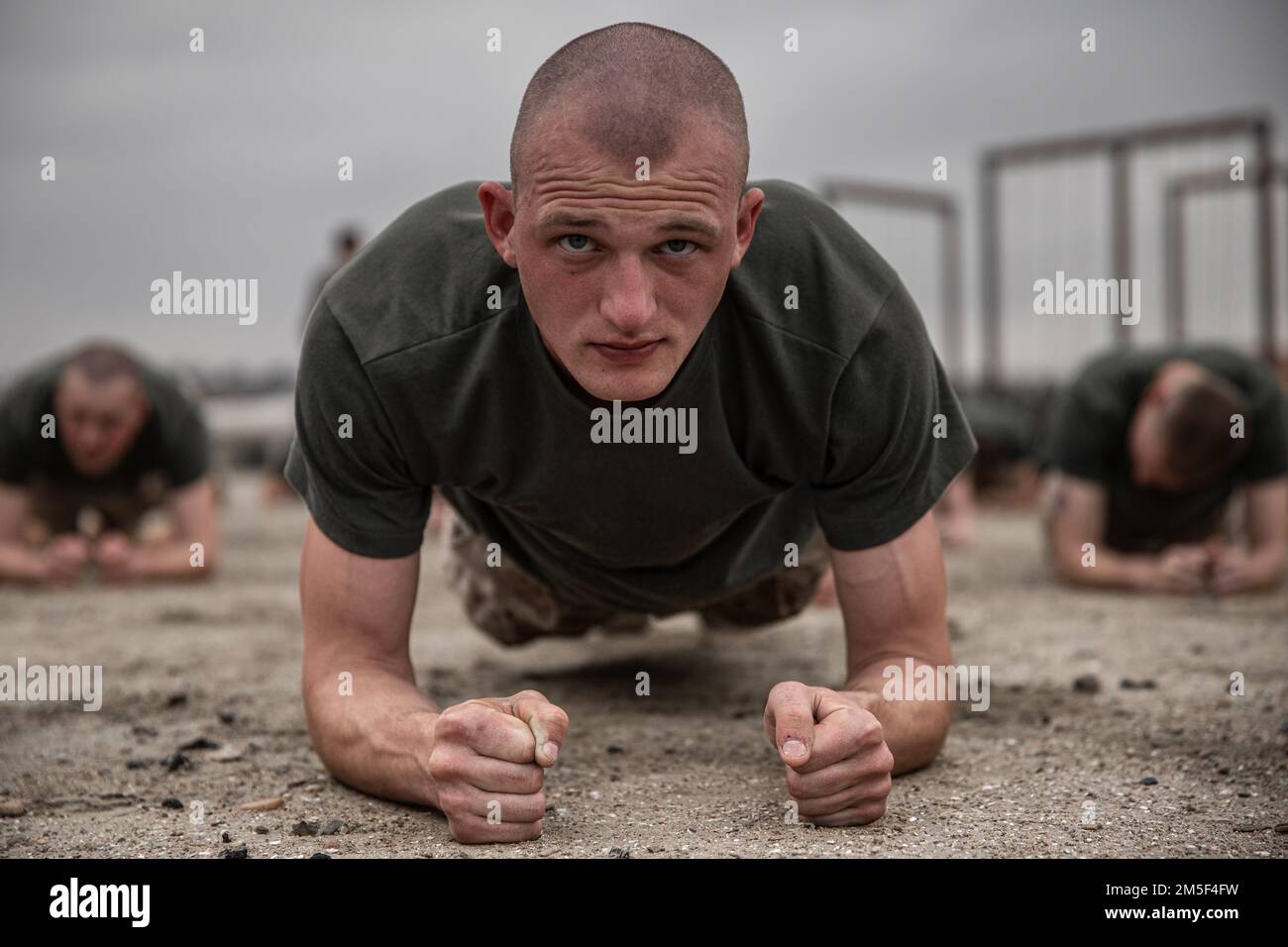 Shad plank hi-res stock photography and images - Alamy