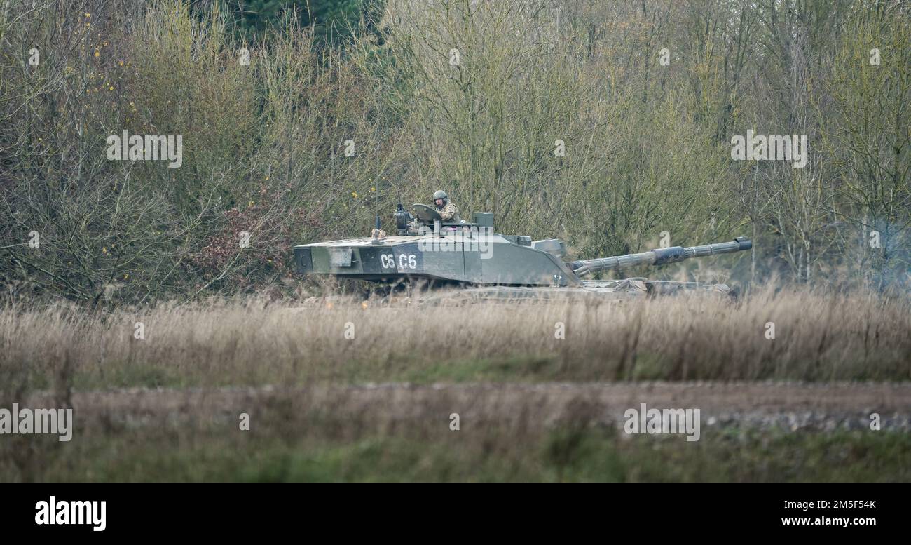 A soldier in a tank surrounded by trees Stock Photo - Alamy